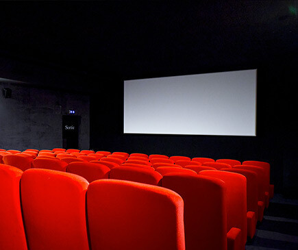 Cinémas Lumière Lyon - Accueil